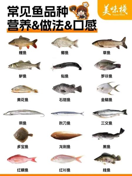 海鱼种类图片和名字大全_常见海鱼名称对照表-第3张图片-山城妙识 海鱼种类图片和名字大全_常见海鱼名称对照表-第3张图片-山城妙识