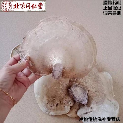 白灵芝的功效与作用_白灵芝怎么吃效果最好-第3张图片-山城妙识