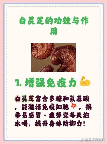 白灵芝的功效与作用_白灵芝怎么吃效果最好-第1张图片-山城妙识