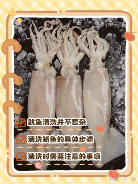 鱿鱼怎么清洗_新鲜鱿鱼处理步骤-第1张图片-山城妙识