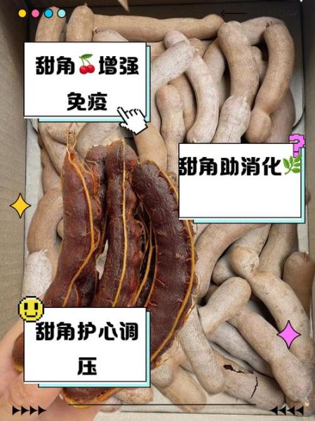 甜角是什么_甜角怎么吃最好-第1张图片-山城妙识 甜角是什么_甜角怎么吃最好-第1张图片-山城妙识