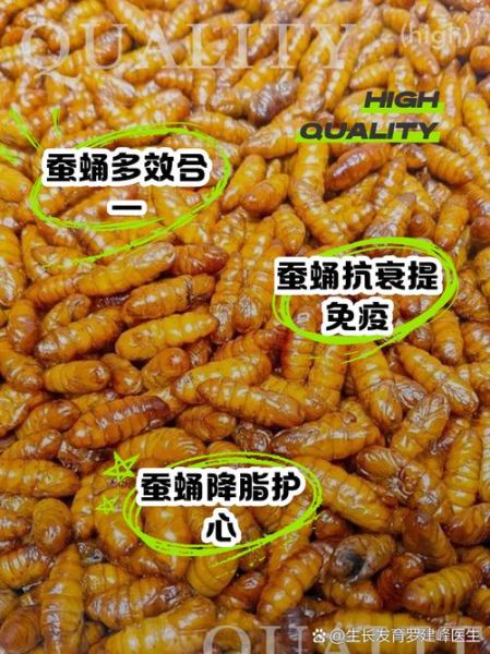 女人吃蚕蛹有啥好处_蚕蛹对女性的功效与作用-第1张图片-山城妙识 女人吃蚕蛹有啥好处_蚕蛹对女性的功效与作用-第1张图片-山城妙识