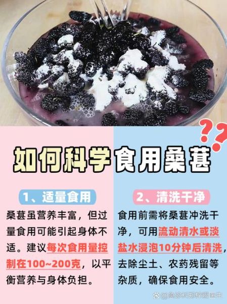 桑葚酱的功效与作用禁忌_孕妇能吃吗-第1张图片-山城妙识 桑葚酱的功效与作用禁忌_孕妇能吃吗-第1张图片-山城妙识