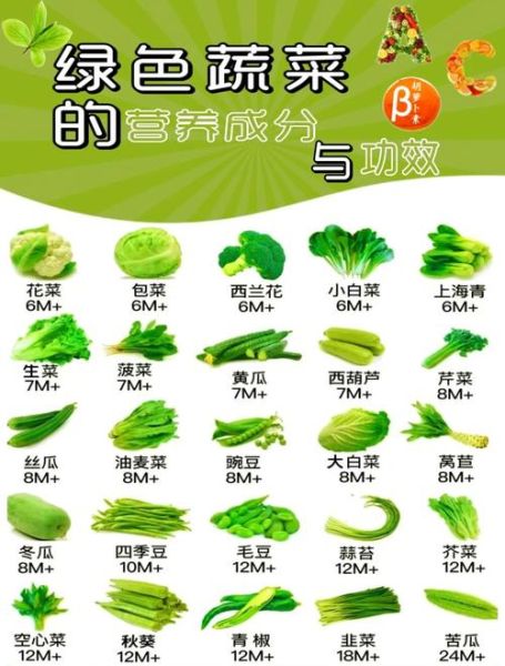 蔬菜的营养价值及功效_哪些蔬菜最营养-第2张图片-山城妙识