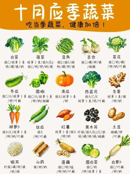 蔬菜的营养价值及功效_哪些蔬菜最营养-第1张图片-山城妙识