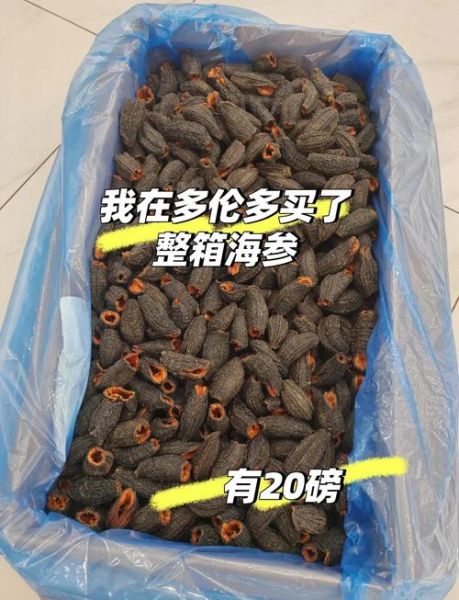 加拿大海参怎么泡发_加拿大海参泡发多久-第1张图片-山城妙识 加拿大海参怎么泡发_加拿大海参泡发多久-第1张图片-山城妙识