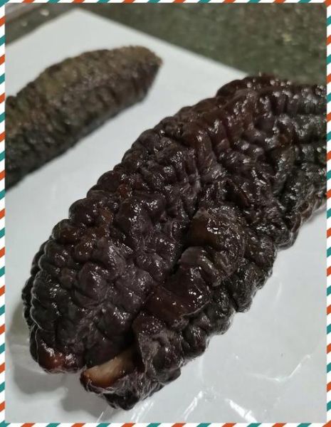 加拿大海参怎么泡发_加拿大海参泡发多久-第3张图片-山城妙识 加拿大海参怎么泡发_加拿大海参泡发多久-第3张图片-山城妙识