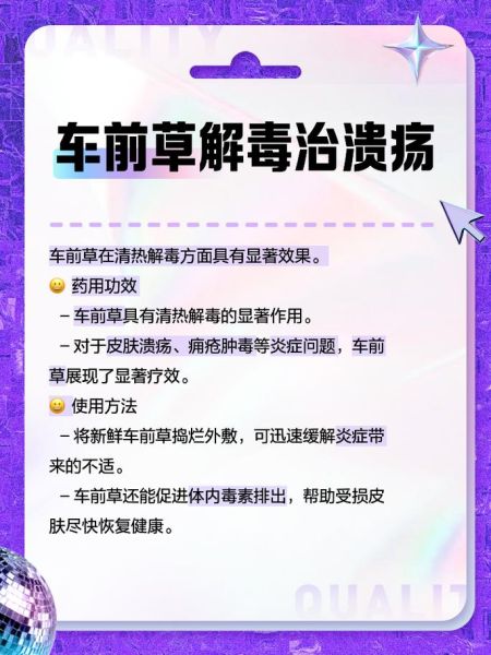 车钱草的功效与作用_车钱草怎么吃效果最好-第1张图片-山城妙识