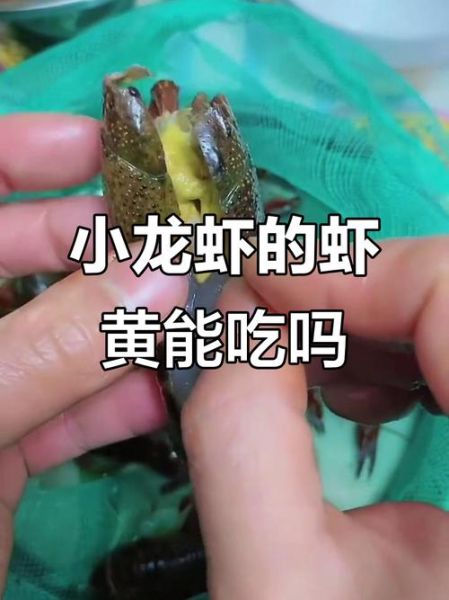 小龙虾的虾黄能吃吗_虾黄到底安全吗-第2张图片-山城妙识
