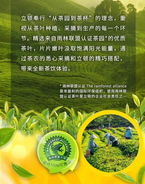 立顿奶茶广告创意亮点_立顿奶茶广告如何打动年轻人-第3张图片-山城妙识