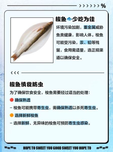 梭鱼的营养价值_梭鱼的功效与作用-第2张图片-山城妙识 梭鱼的营养价值_梭鱼的功效与作用-第2张图片-山城妙识