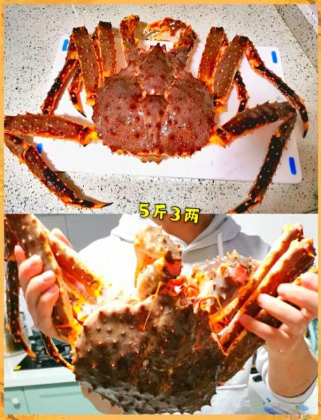 4斤帝王蟹够几个人吃_帝王蟹分量怎么算-第1张图片-山城妙识 4斤帝王蟹够几个人吃_帝王蟹分量怎么算-第1张图片-山城妙识
