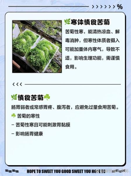 苦菊不焯水有毒吗_苦菊生吃安全吗-第3张图片-山城妙识 苦菊不焯水有毒吗_苦菊生吃安全吗-第3张图片-山城妙识