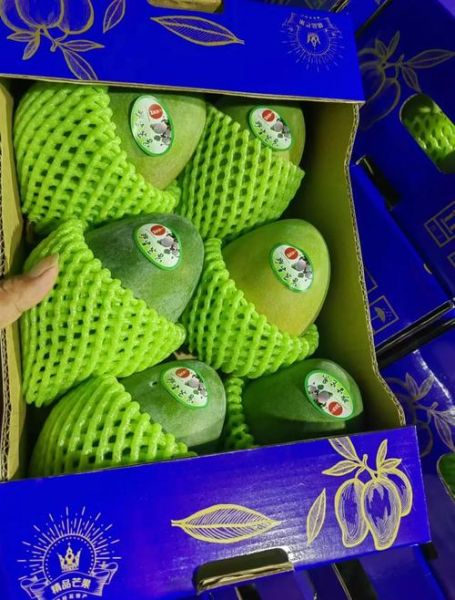 凯特芒果怎么挑_凯特芒果几月份成熟-第2张图片-山城妙识 凯特芒果怎么挑_凯特芒果几月份成熟-第2张图片-山城妙识