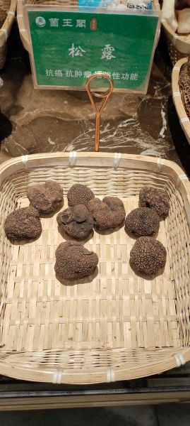 松露多少钱一斤_松露价格为什么那么贵-第2张图片-山城妙识