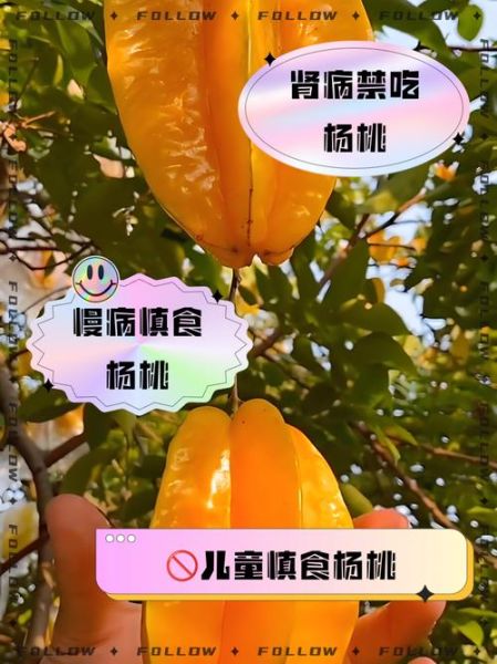 哪些水果最伤肾_肾不好能吃杨桃吗-第2张图片-山城妙识