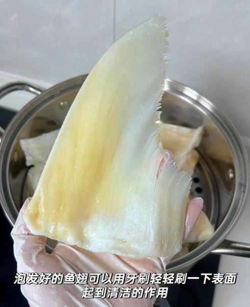 发干鱼翅丝最简单的方法_干鱼翅丝怎么泡发最快-第2张图片-山城妙识