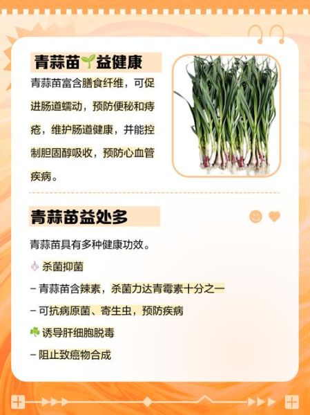 青蒜的营养价值_青蒜的功效与作用-第1张图片-山城妙识 青蒜的营养价值_青蒜的功效与作用-第1张图片-山城妙识