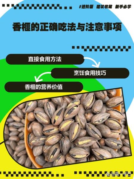 香榧一次吃几个最好_香榧吃多了会怎样-第2张图片-山城妙识