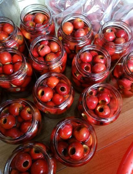 山楂罐头家庭自制法窍门_山楂罐头怎么保存-第1张图片-山城妙识