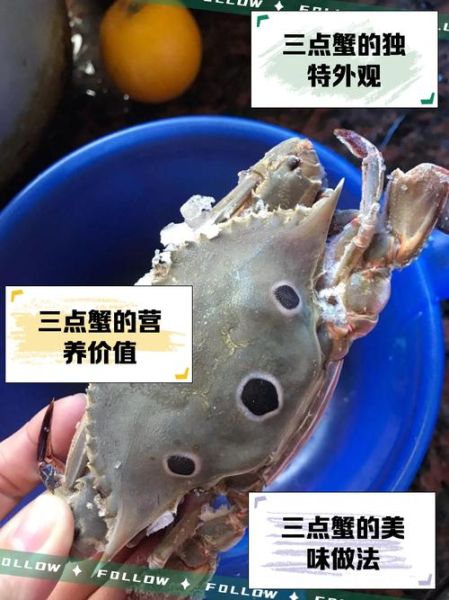 三点蟹多少钱一斤_三点蟹价格行情-第1张图片-山城妙识