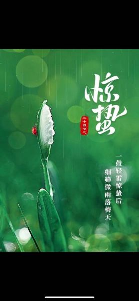 惊蛰怎么读_惊蛰读音是什么-第3张图片-山城妙识