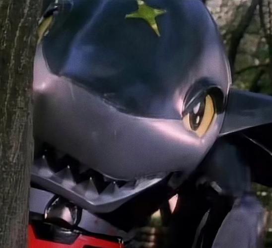 鲨鱼辣椒是什么_鲨鱼辣椒图片怎么拍好看-第1张图片-山城妙识