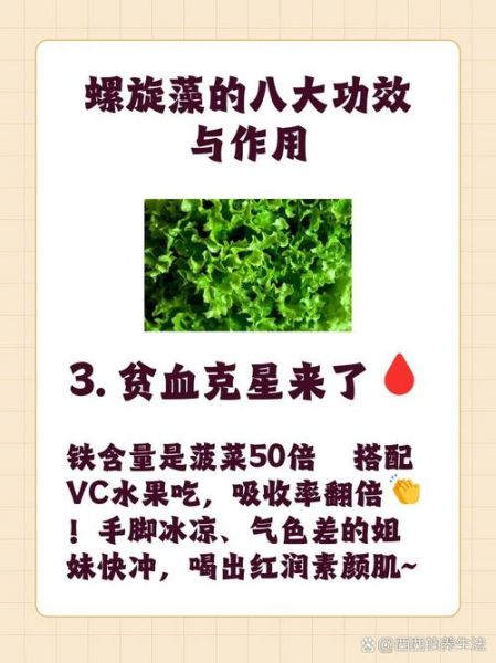 螺旋藻的副作用有哪些_螺旋藻禁忌人群-第2张图片-山城妙识