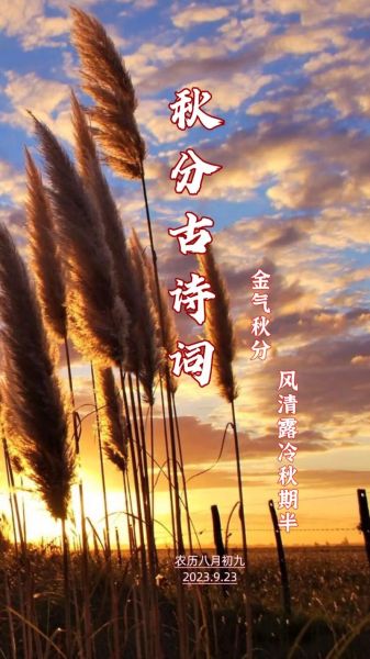 秋分古诗四句_秋分节气古诗-第2张图片-山城妙识