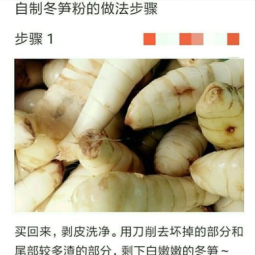 冬笋粉怎么做_冬笋粉的功效与作用-第1张图片-山城妙识