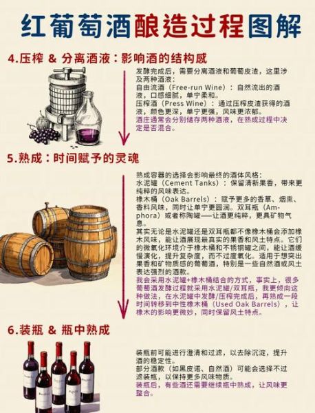 自制葡萄酒的做法步骤_家庭酿酒常见问题-第2张图片-山城妙识