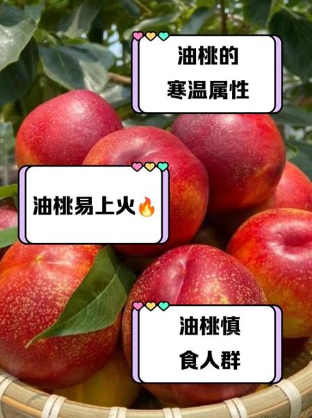 油桃是热性还是凉性_油桃上火吗-第1张图片-山城妙识 油桃是热性还是凉性_油桃上火吗-第1张图片-山城妙识