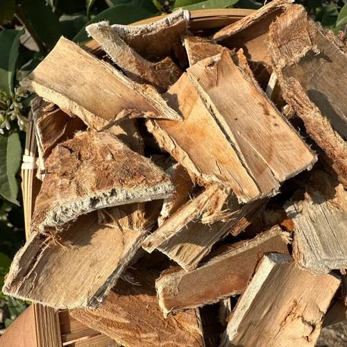 榆树皮熬水治皮肤病吗_榆树皮熬水怎么用-第1张图片-山城妙识