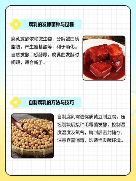 腐乳怎么做_腐乳发酵原理-第2张图片-山城妙识