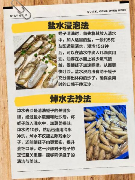 海蛏子最简单的做法_海蛏子怎么清洗才干净-第2张图片-山城妙识 海蛏子最简单的做法_海蛏子怎么清洗才干净-第2张图片-山城妙识