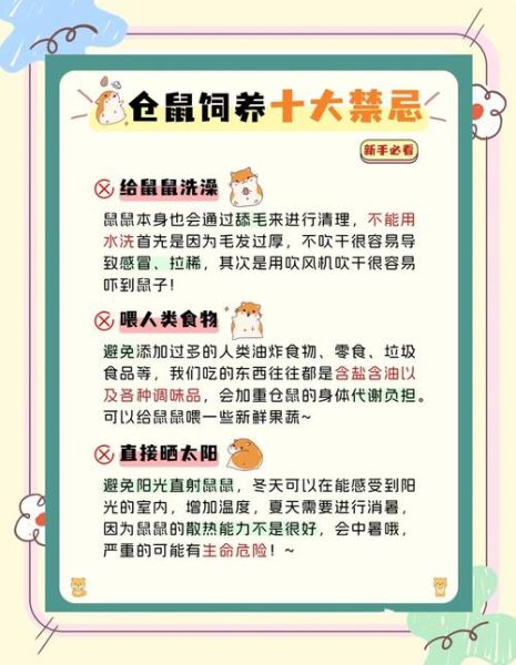 怎么养仓鼠_新手第一次养仓鼠要注意什么-第1张图片-山城妙识 怎么养仓鼠_新手第一次养仓鼠要注意什么-第1张图片-山城妙识