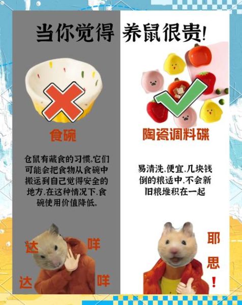 怎么养仓鼠_新手第一次养仓鼠要注意什么-第3张图片-山城妙识 怎么养仓鼠_新手第一次养仓鼠要注意什么-第3张图片-山城妙识