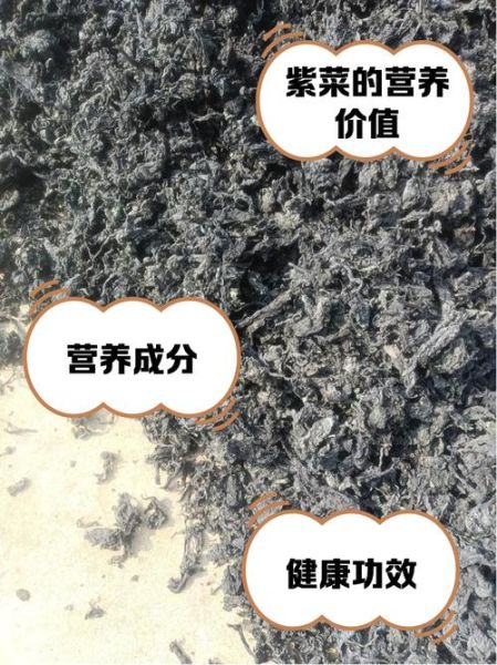 紫菜的营养价值_紫菜什么人不能吃-第3张图片-山城妙识 紫菜的营养价值_紫菜什么人不能吃-第3张图片-山城妙识