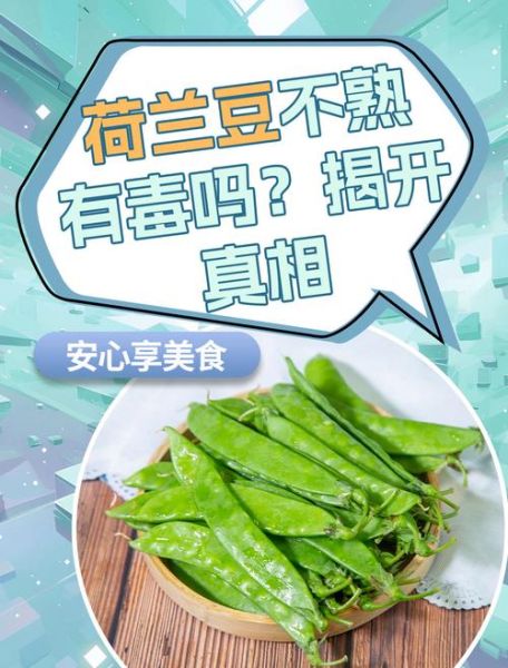 荷兰豆要煮多久才安全_荷兰豆没煮熟会中毒吗-第1张图片-山城妙识 荷兰豆要煮多久才安全_荷兰豆没煮熟会中毒吗-第1张图片-山城妙识