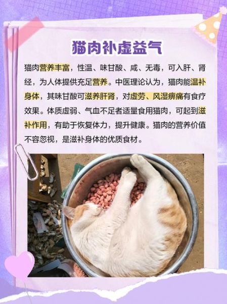 为什么不能吃猫肉_民间传说禁忌-第2张图片-山城妙识 为什么不能吃猫肉_民间传说禁忌-第2张图片-山城妙识