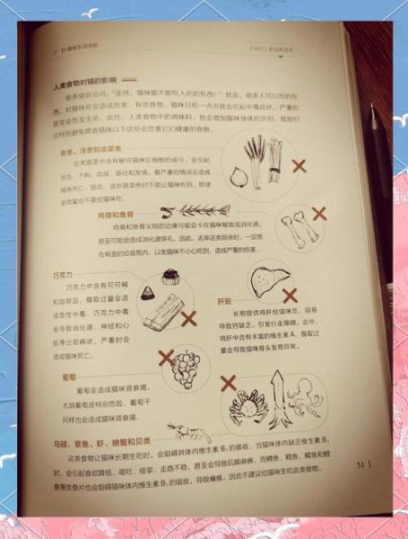 为什么不能吃猫肉_民间传说禁忌-第3张图片-山城妙识 为什么不能吃猫肉_民间传说禁忌-第3张图片-山城妙识