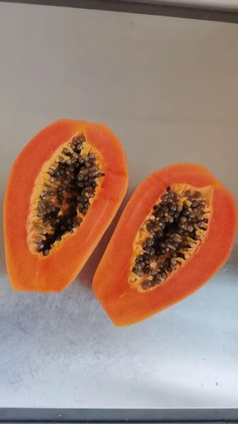 木瓜牛奶汤的做法_木瓜牛奶汤的功效-第3张图片-山城妙识