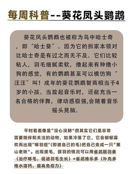 葵花鹦鹉多少钱一只_葵花鹦鹉怎么养-第3张图片-山城妙识