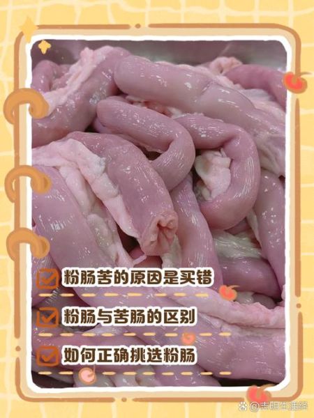 粉肠和小肠的区别_哪个更好吃-第2张图片-山城妙识