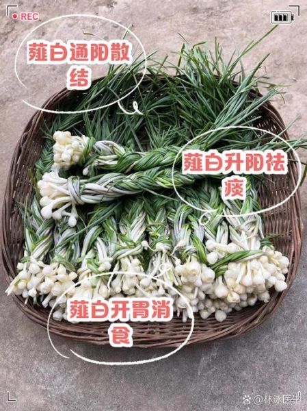 薤白是什么东西_薤白和藠头一样吗-第1张图片-山城妙识 薤白是什么东西_薤白和藠头一样吗-第1张图片-山城妙识