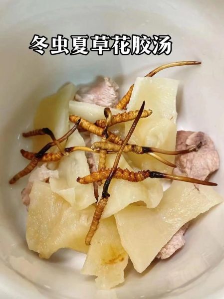 冬虫夏草怎么吃最好_冬虫夏草正确吃法-第1张图片-山城妙识