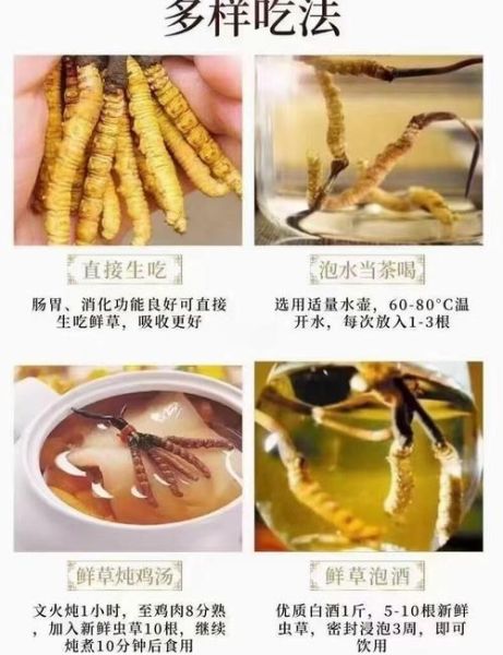 冬虫夏草怎么吃最好_冬虫夏草正确吃法-第2张图片-山城妙识