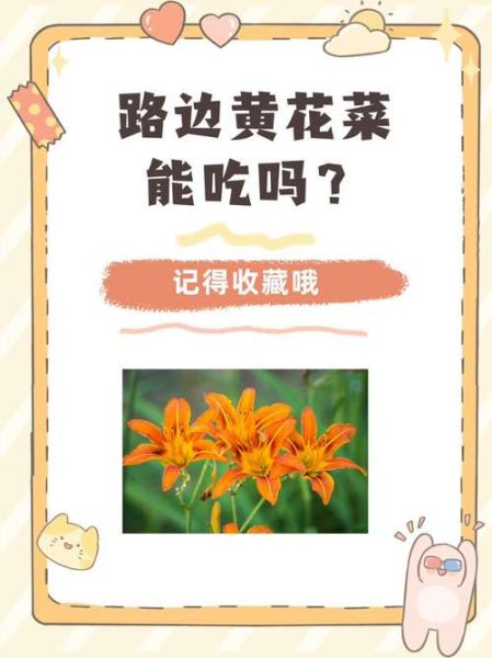 吃了黄花菜中毒的症状_多久会出现-第2张图片-山城妙识 吃了黄花菜中毒的症状_多久会出现-第2张图片-山城妙识