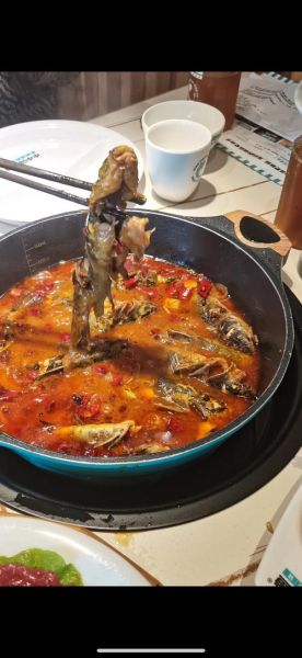 黄辣丁鱼火锅怎么做_黄辣丁鱼火锅底料配方-第1张图片-山城妙识 黄辣丁鱼火锅怎么做_黄辣丁鱼火锅底料配方-第1张图片-山城妙识