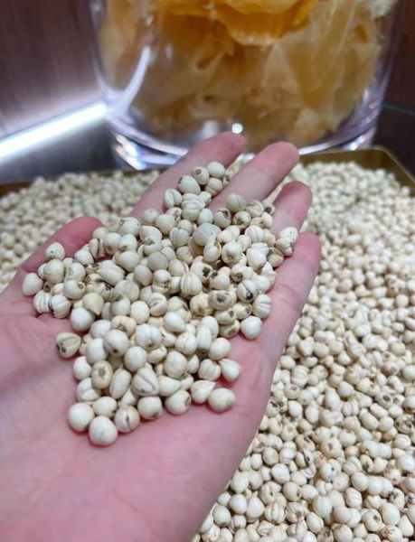 川贝的功效与作用_川贝的禁忌有哪些-第3张图片-山城妙识